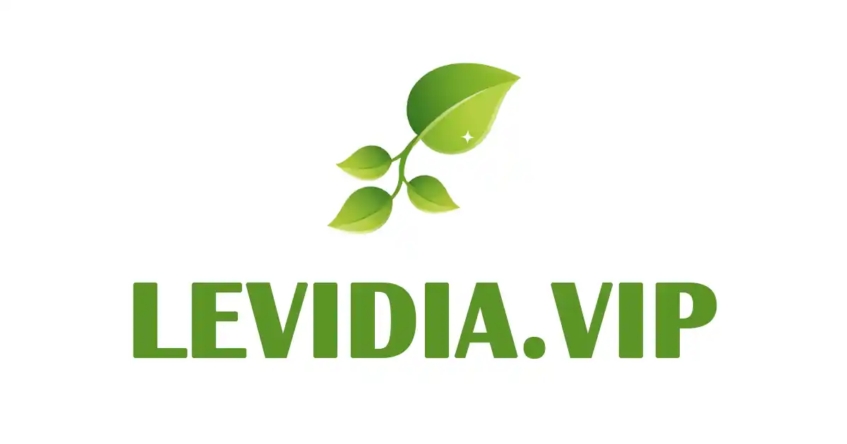 Terms of Services - levidia.ch